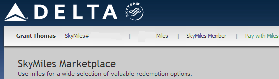 Other uses for Delta SkyMiles besides Award Seats