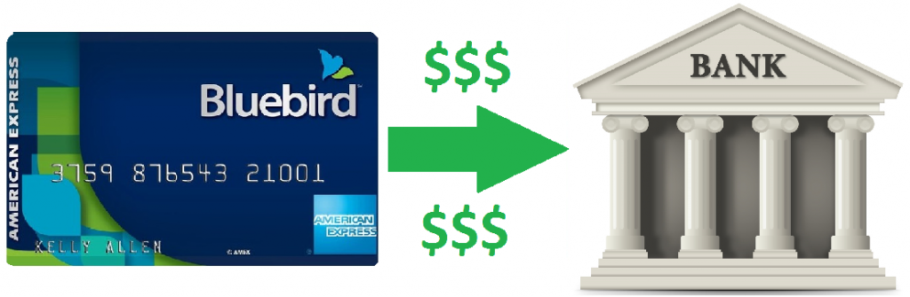 Everything you Need to Know About Bluebird