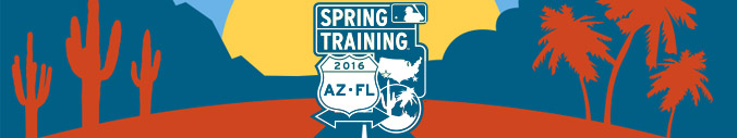 Spring Training Major League Baseball Games - Advice for a Rookie