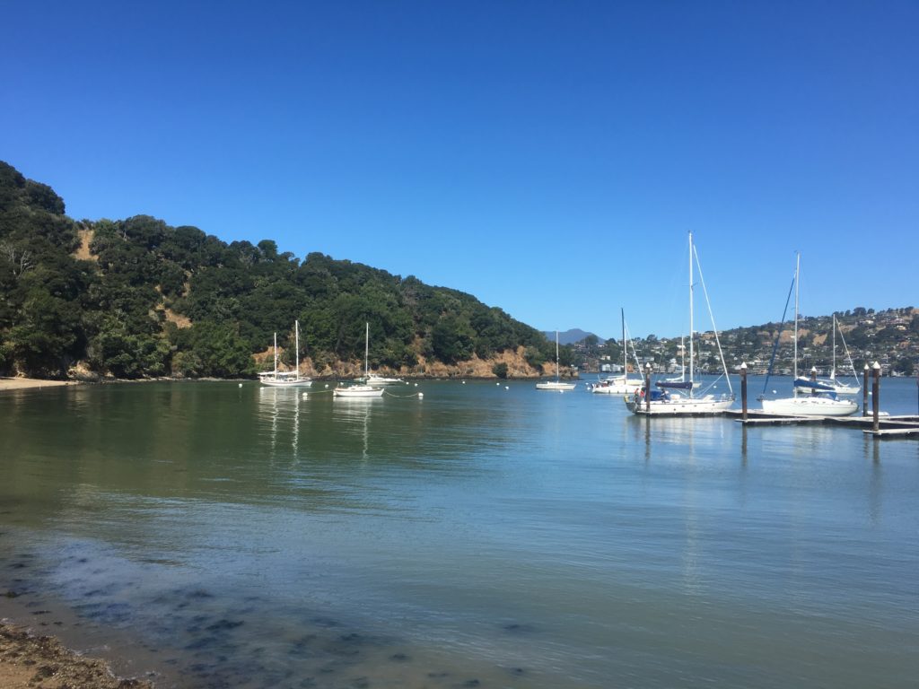 Angel Island Ferry Day Trip from San Francisco's Fisherman's Wharf ...