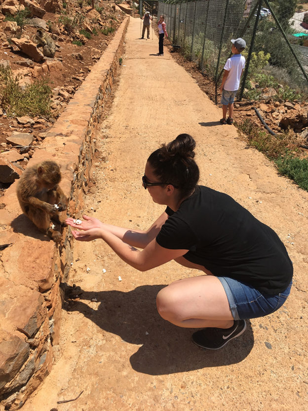 Crete Trip Report Part 2: Crete Safari ATV Tour to Milatos Cave, Feed ...