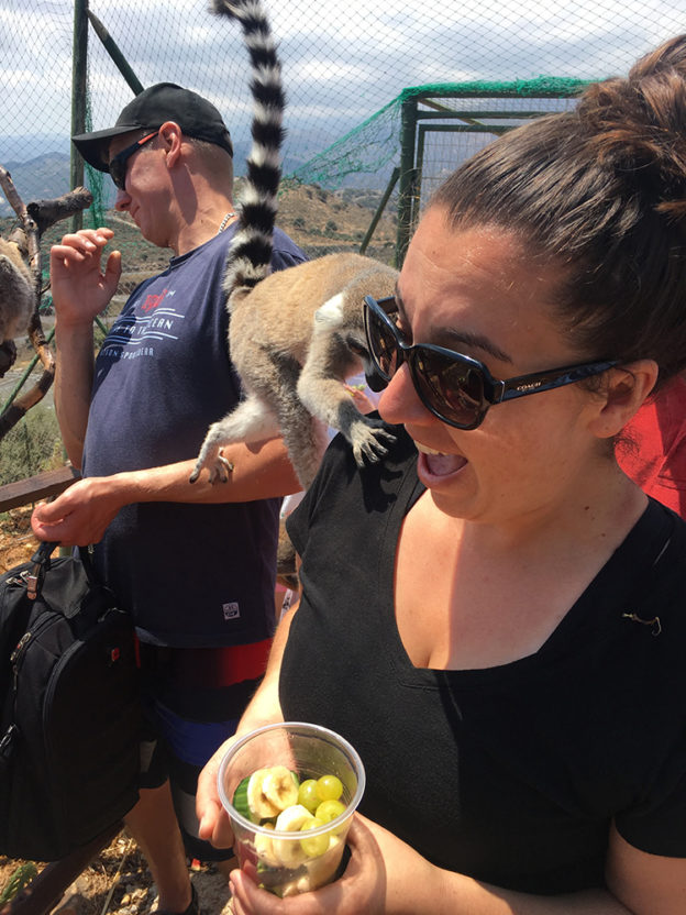 Crete Trip Report Part 2: Crete Safari ATV Tour to Milatos Cave, Feed ...