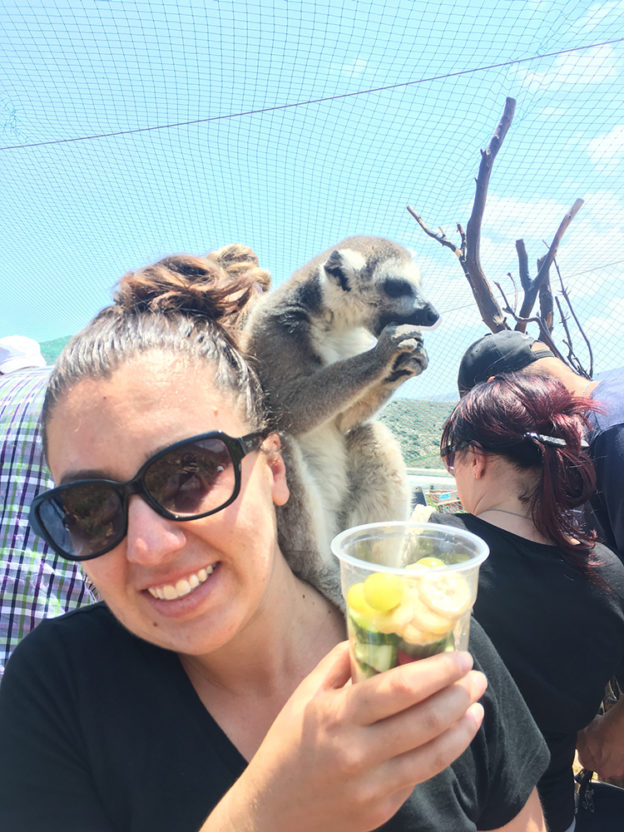 Crete Trip Report Part 2: Crete Safari ATV Tour to Milatos Cave, Feed ...