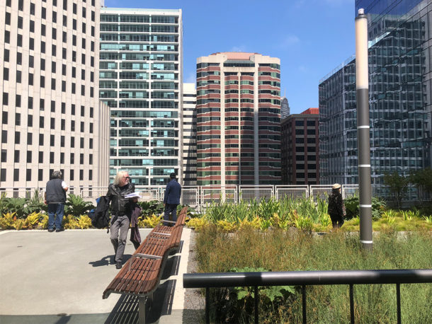 Visit San Francisco’s Newest Attraction: Salesforce Park