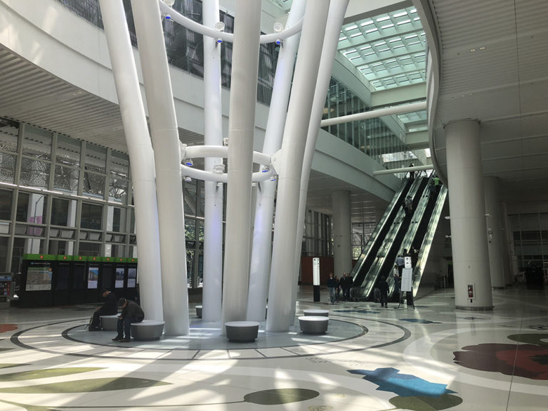 Visit San Francisco’s Newest Attraction: Salesforce Park